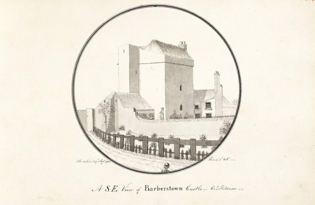 Ring-ditch, Windgates, Co. Kildare - IrishHistory.com